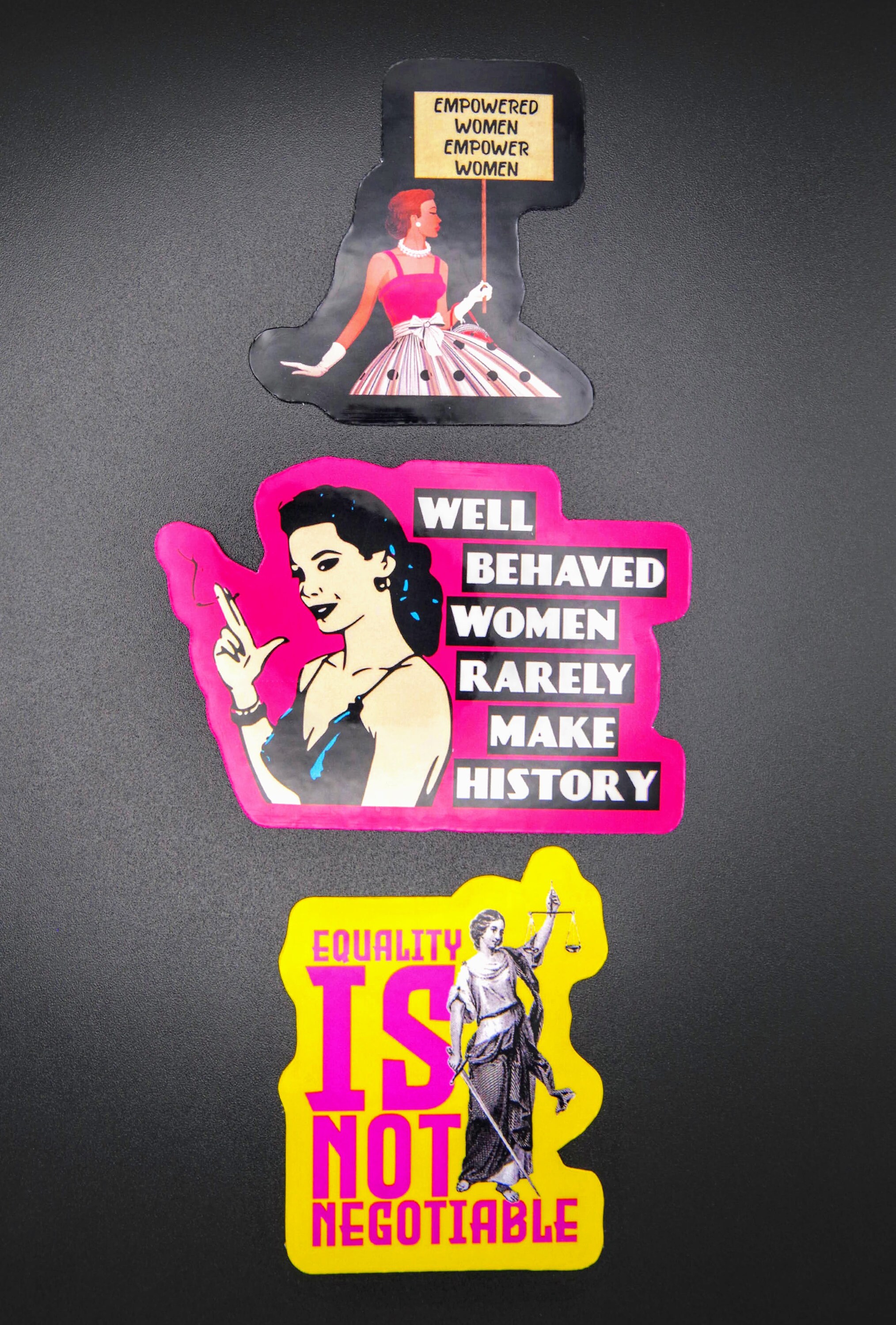 Retro Women's Rights Vinyl Sticker Pack - Etsy