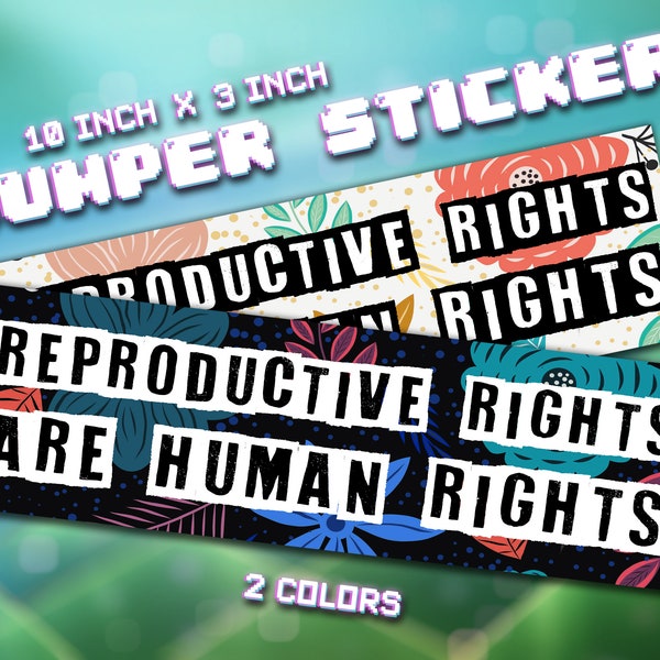Human Rights Bumper Sticker - Etsy