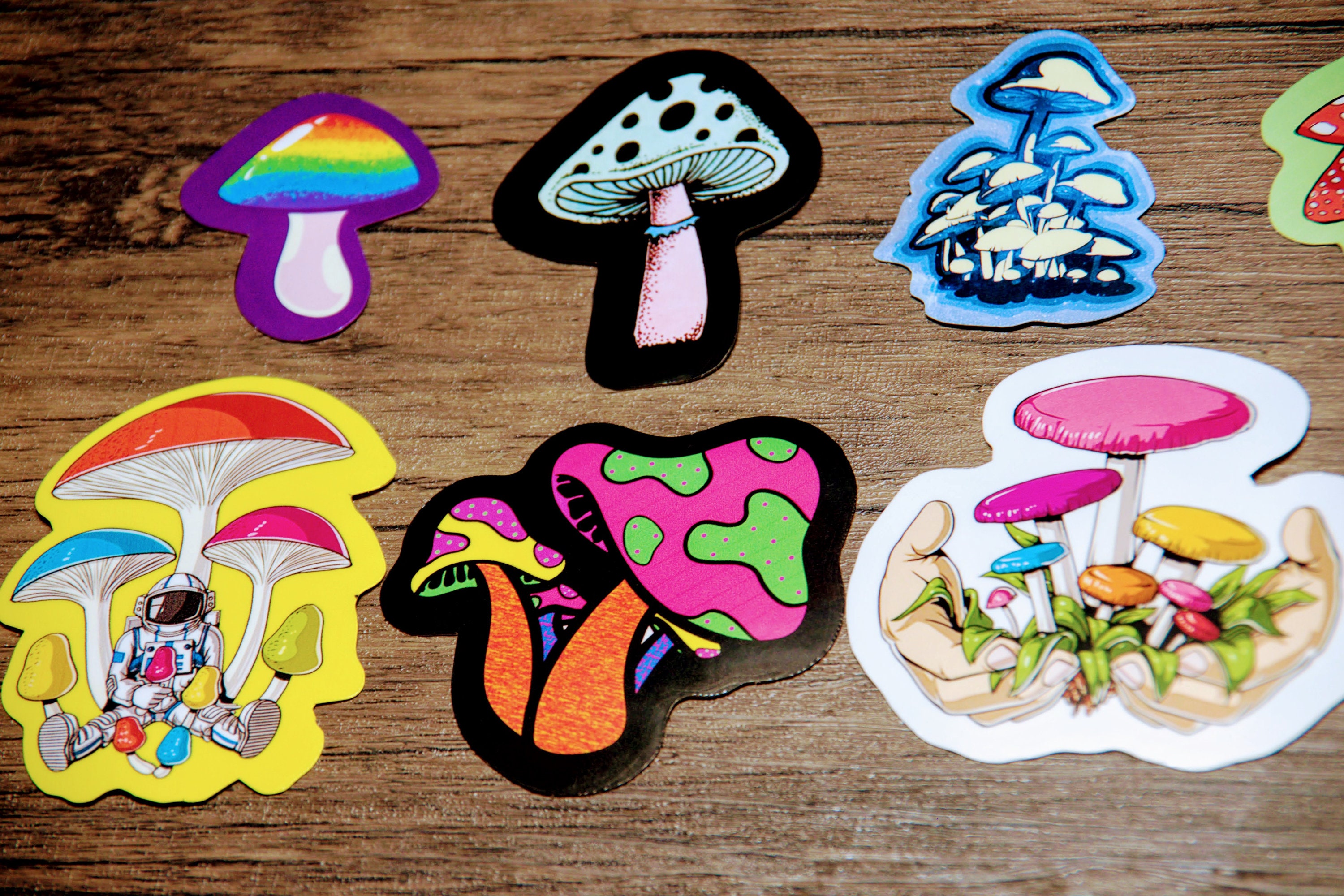 The MAGIC of MUSHROOMS Vinyl Sticker Pack | Etsy