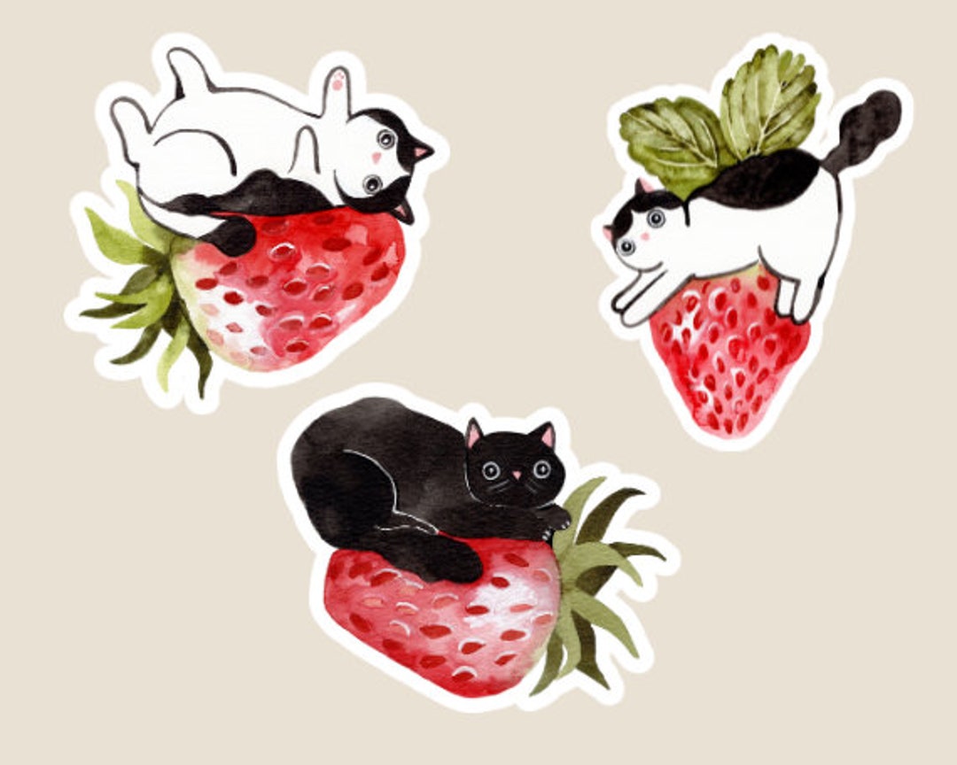 Strawberry Cats, 3pc Vinyl Sticker Pack, Free Canada & US Shipping ...