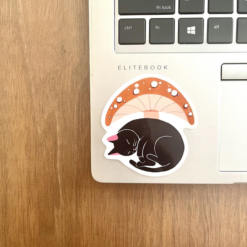 4pc Vinyl Sticker Pack Mushroom Cats Handmade Kota | Etsy