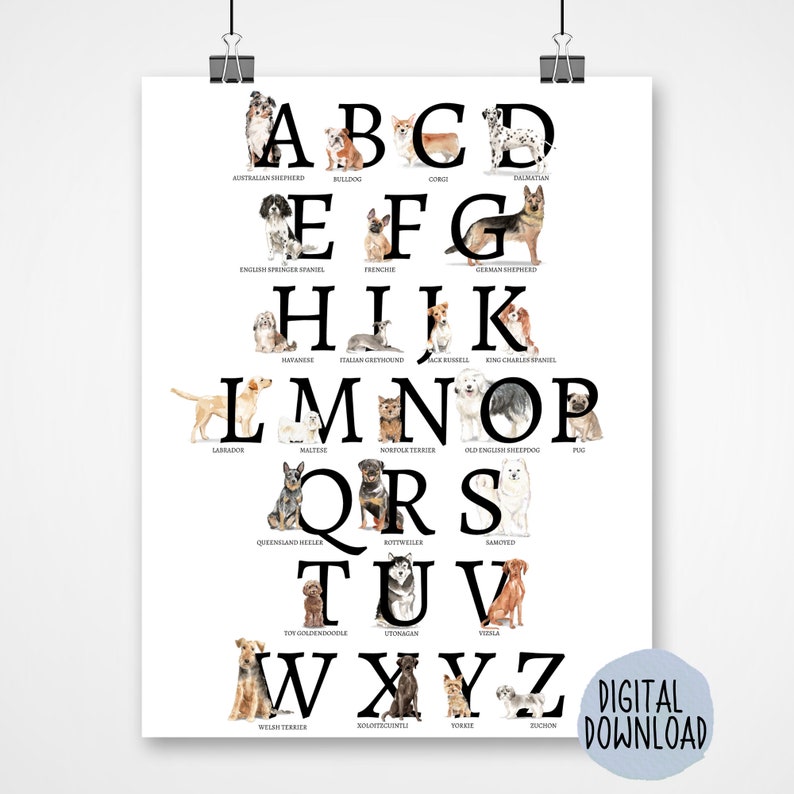 Digital Download ABC Dog Alphabet Print ABC Dog Breeds Wall - Etsy