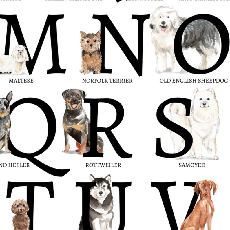 Digital Download ABC Dog Alphabet Print ABC Dog Breeds Wall - Etsy