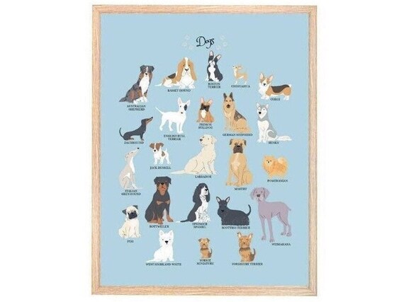 Blue Dog Prints Posters