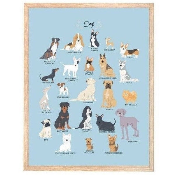 Dog Breeds Poster - Etsy