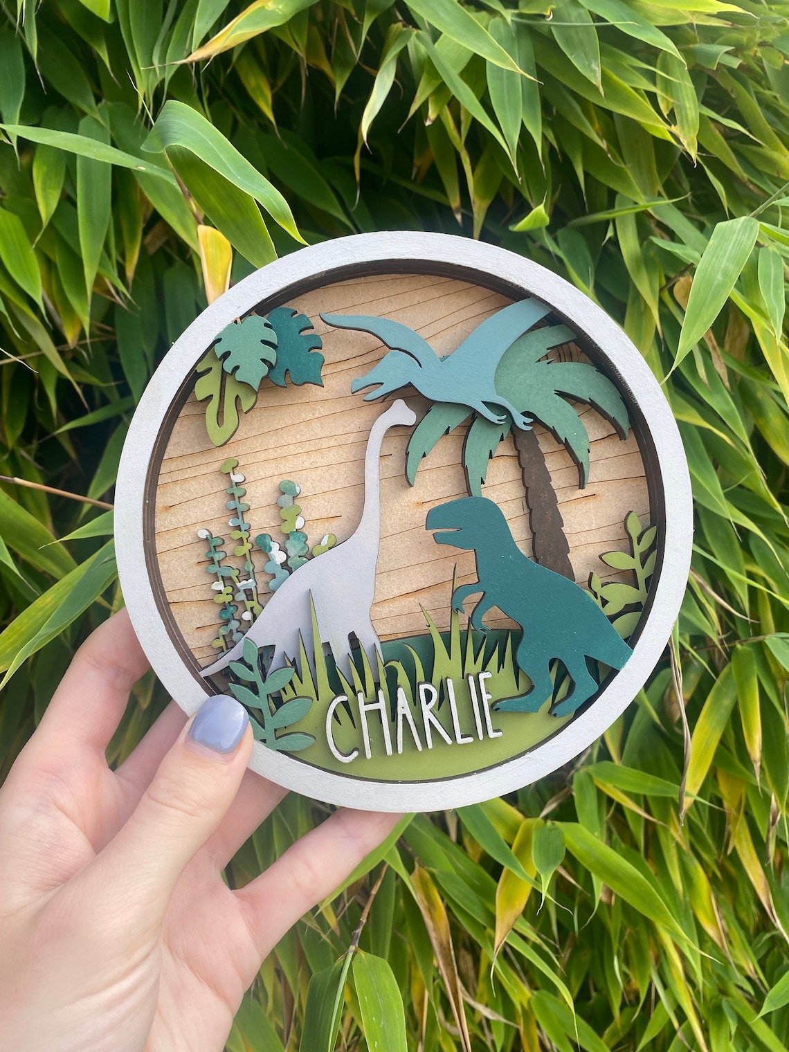 Personalised Dinosaur Themed Door Plaque/bedroom Decor - Etsy
