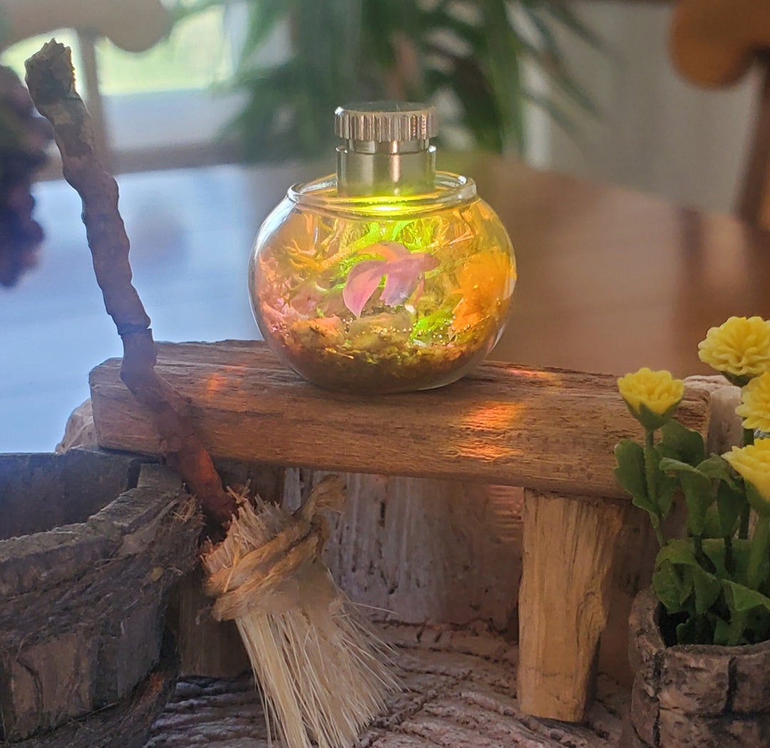 Dollhouse Betta Fish Bowl With LED Light Miniature Fishtank Fish Token ...