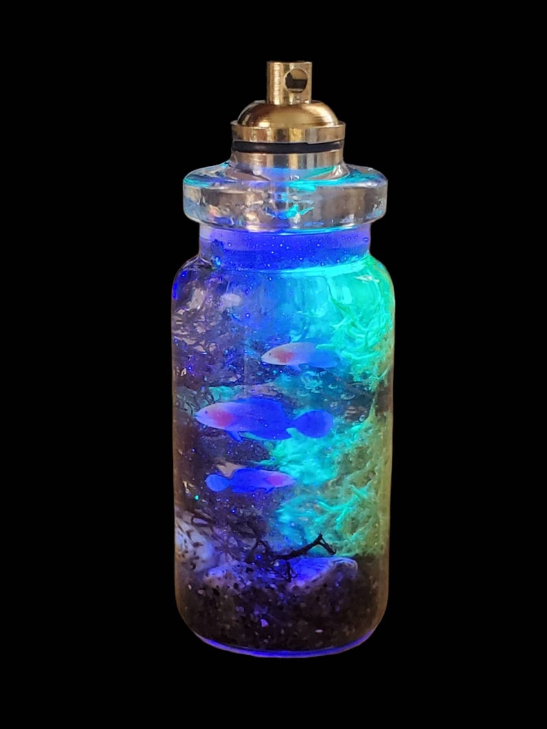 Luminous Tiny Fishtank Resin Jar Keychain LED Light Resin Fish - Etsy