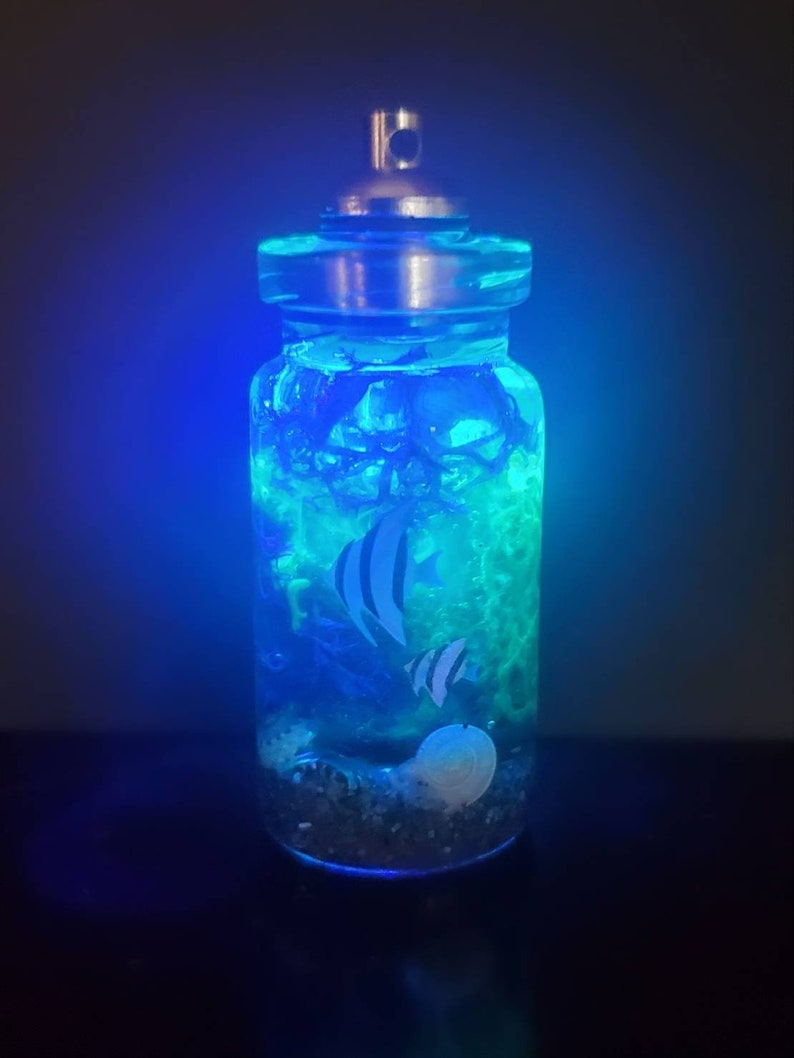 Angelfish Luminous Tiny Fishtank Resin Jar LED Light Resin Art - Etsy