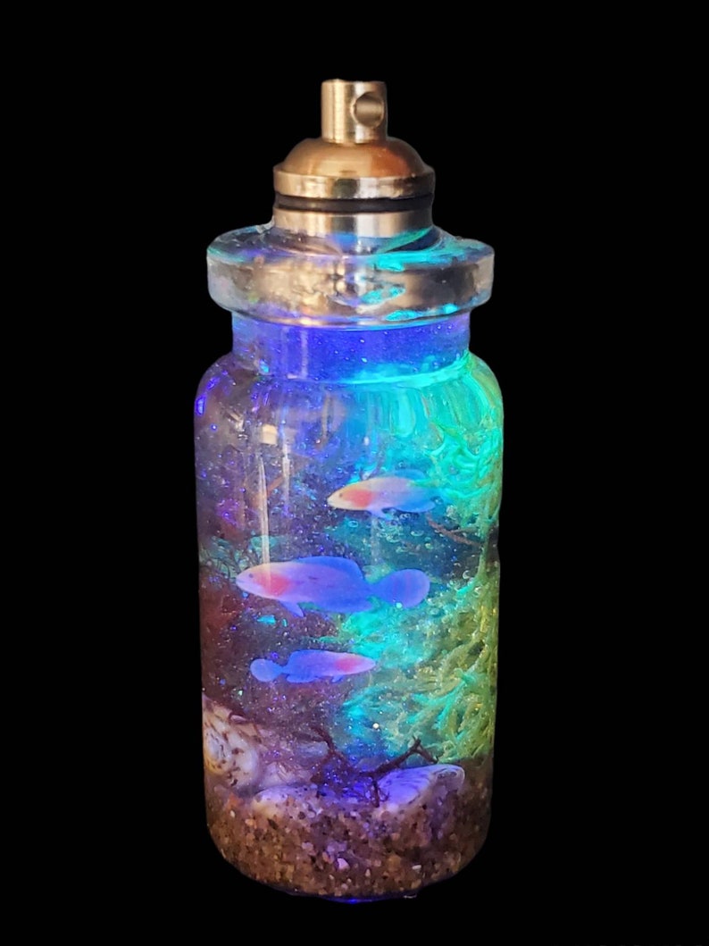 Luminous Tiny Fishtank Resin Jar Keychain LED Light Resin Fish - Etsy