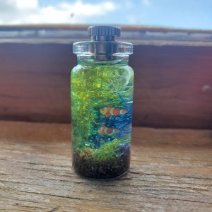 Clownfish Luminous Tiny Dollhouse Fishtank Resin Jar With LED Light ...