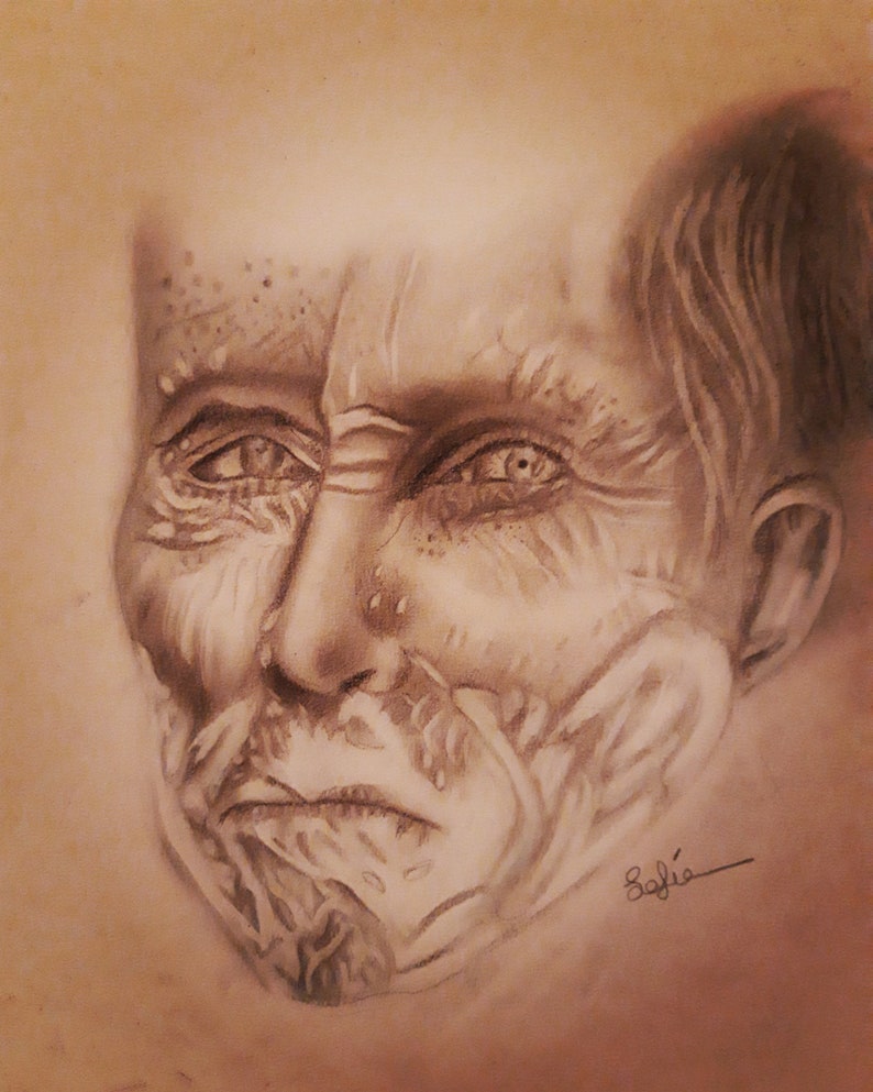 Realistic Graphite Drawing on Canson Dina A3 Paper by Artist Sophie ...