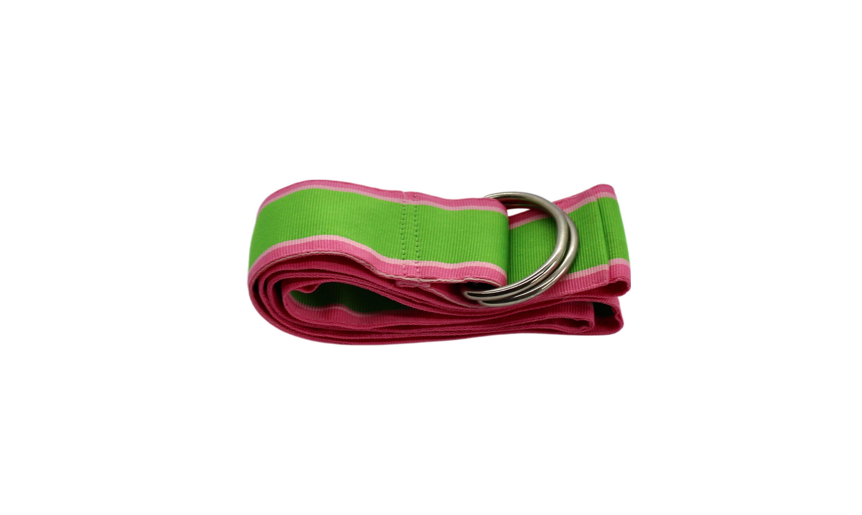 Women's Pink and Green Striped Ribbon Belt With Gold or Silver Hardware ...