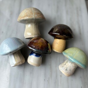 Handmade Ceramic Garden Mushroom Fungus Cottage Core - Etsy
