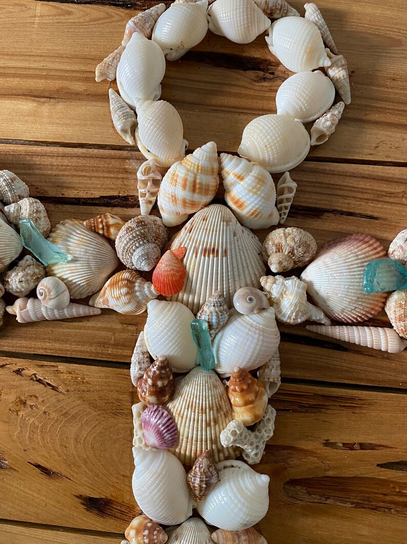 Seashell Anchor - Etsy
