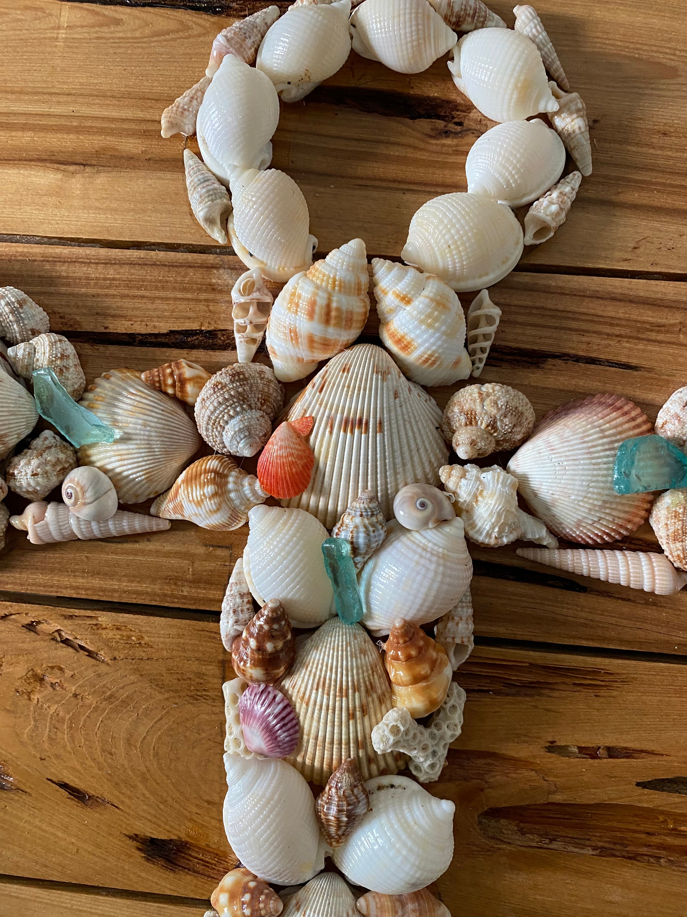 Seashell Anchor - Etsy