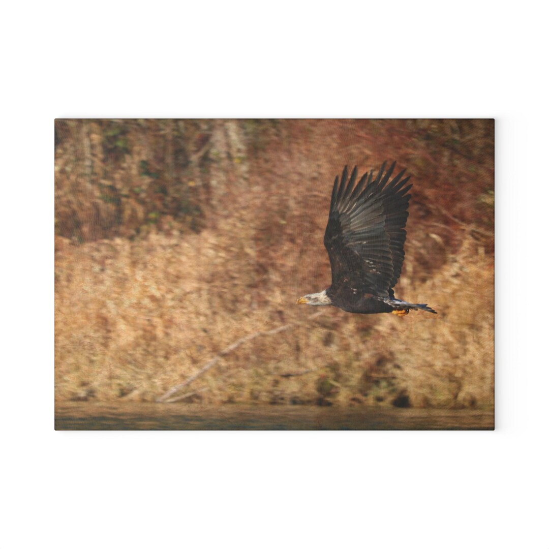 Bald Eagle Glass Cutting Board | Kitchen Accessory, Wildlife Cooking ...