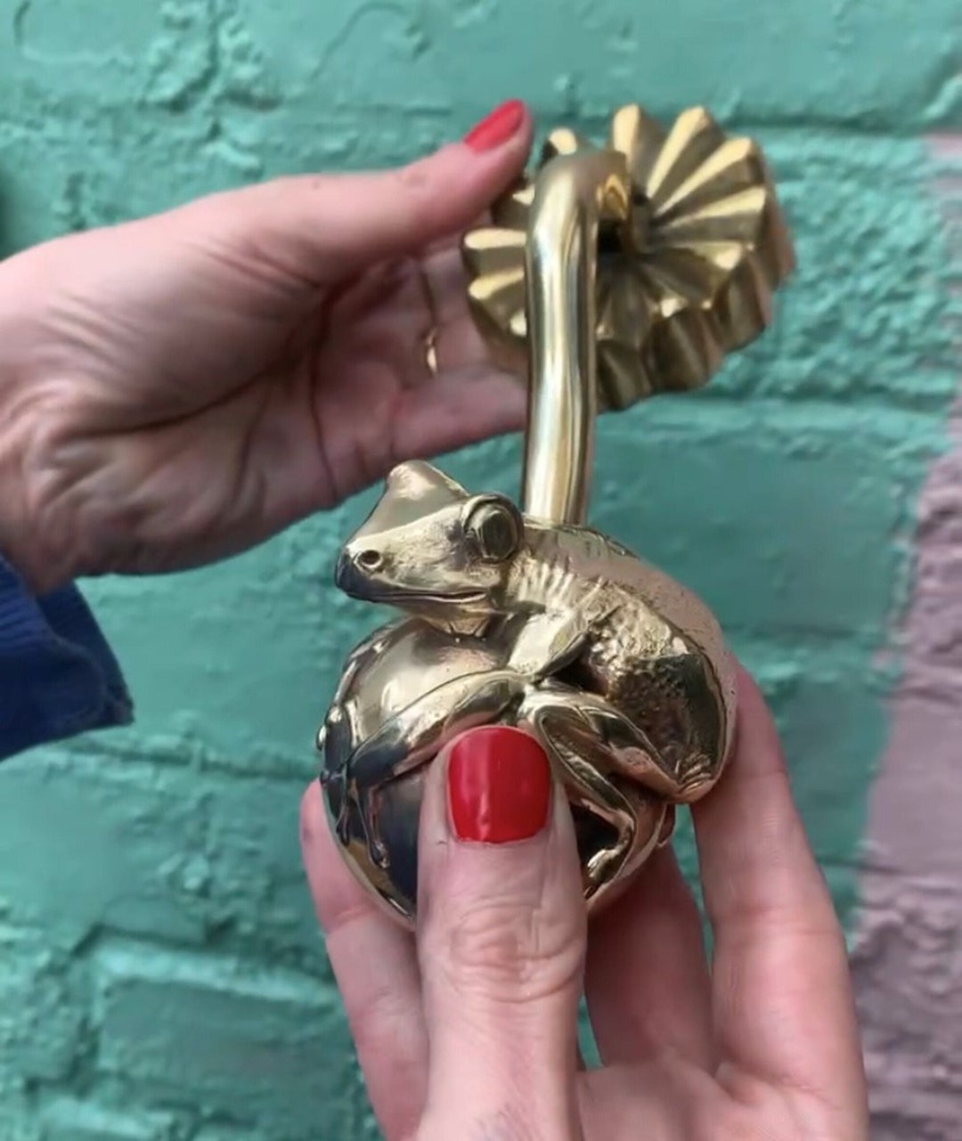 Amphibia Frog Door Knocker | Available in 5 Finishes | Gorgeous Front ...