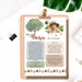 Meet the Teacher Template Canva, a Back to School Teacher Letter, Boho ...