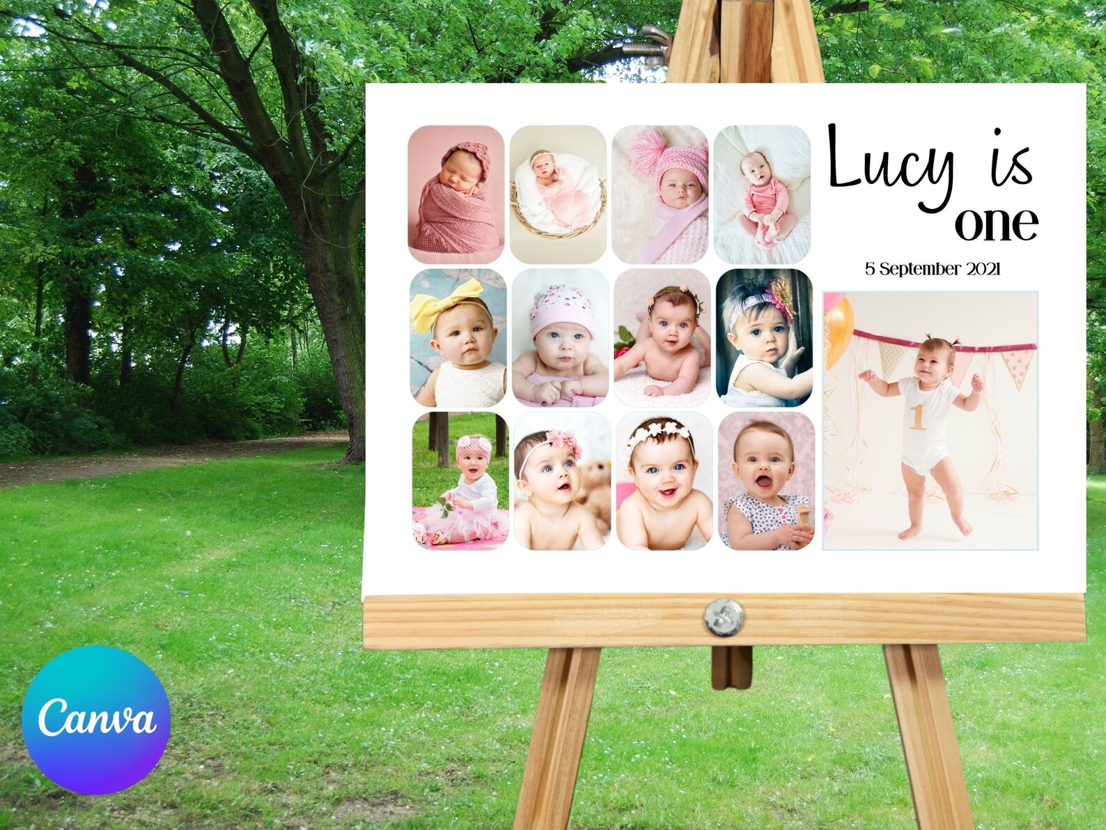 Baby's First Year Birthday Poster to Celebrate Your Baby's First ...