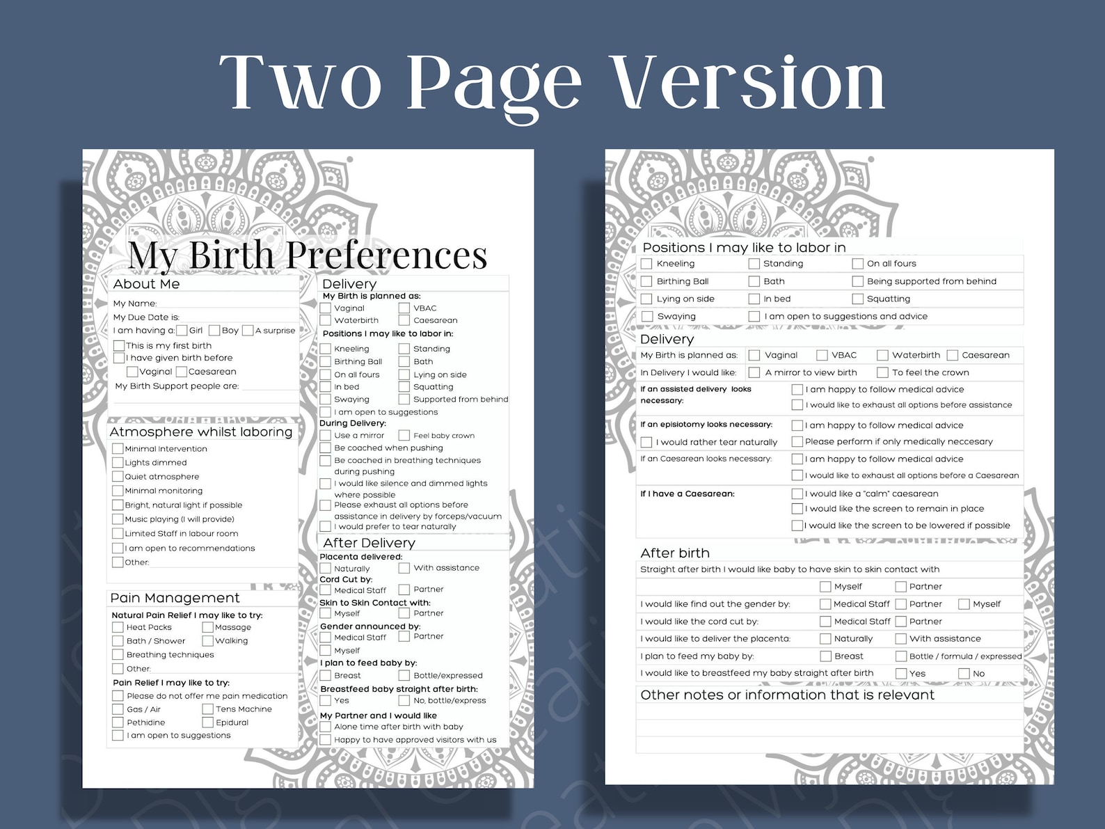Birth Plan Editable Template, Birth Preferences Template, Birth ...