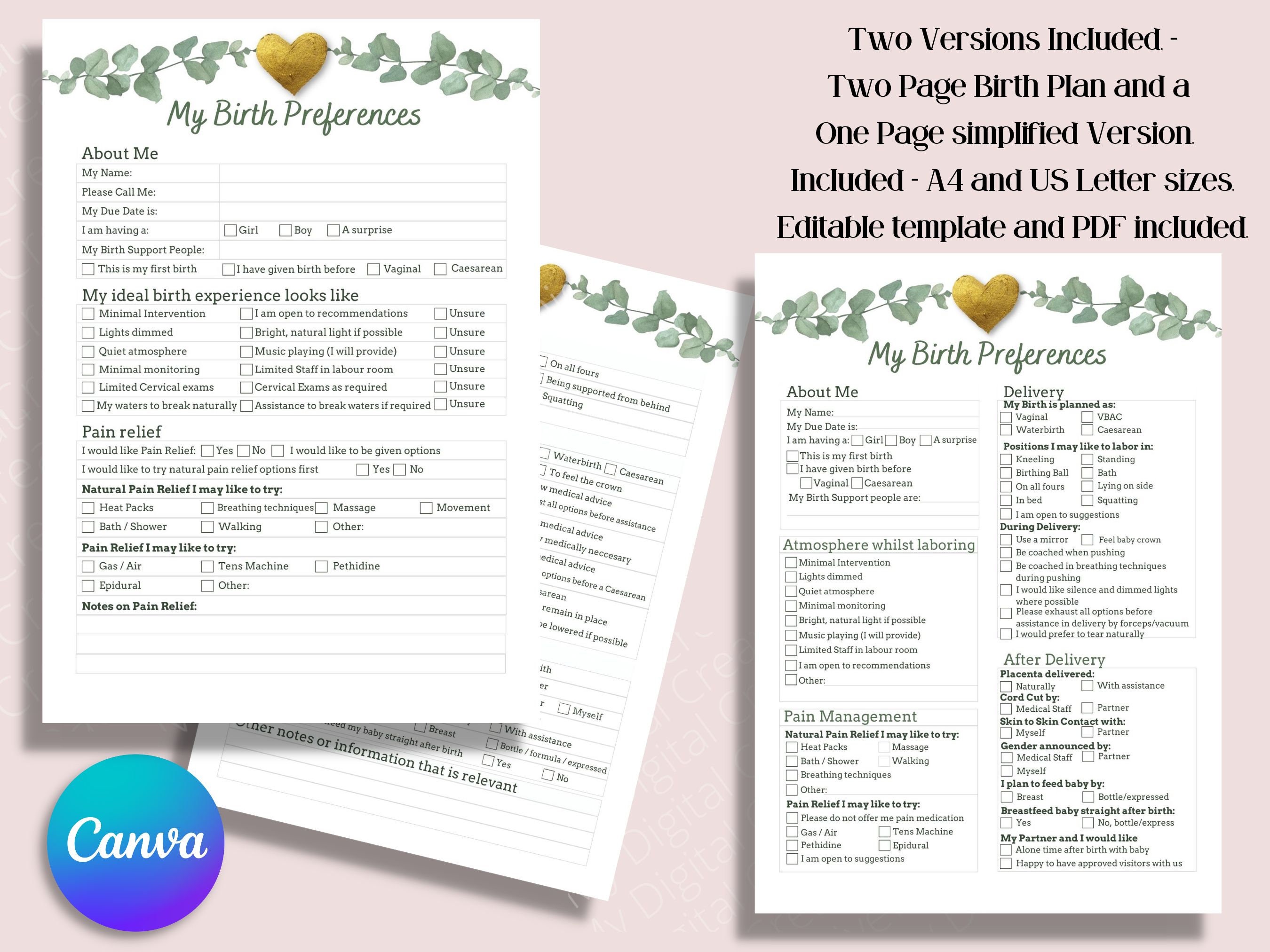 Birth Plan Template, Editable, Communicate Your Birth Preferences ...