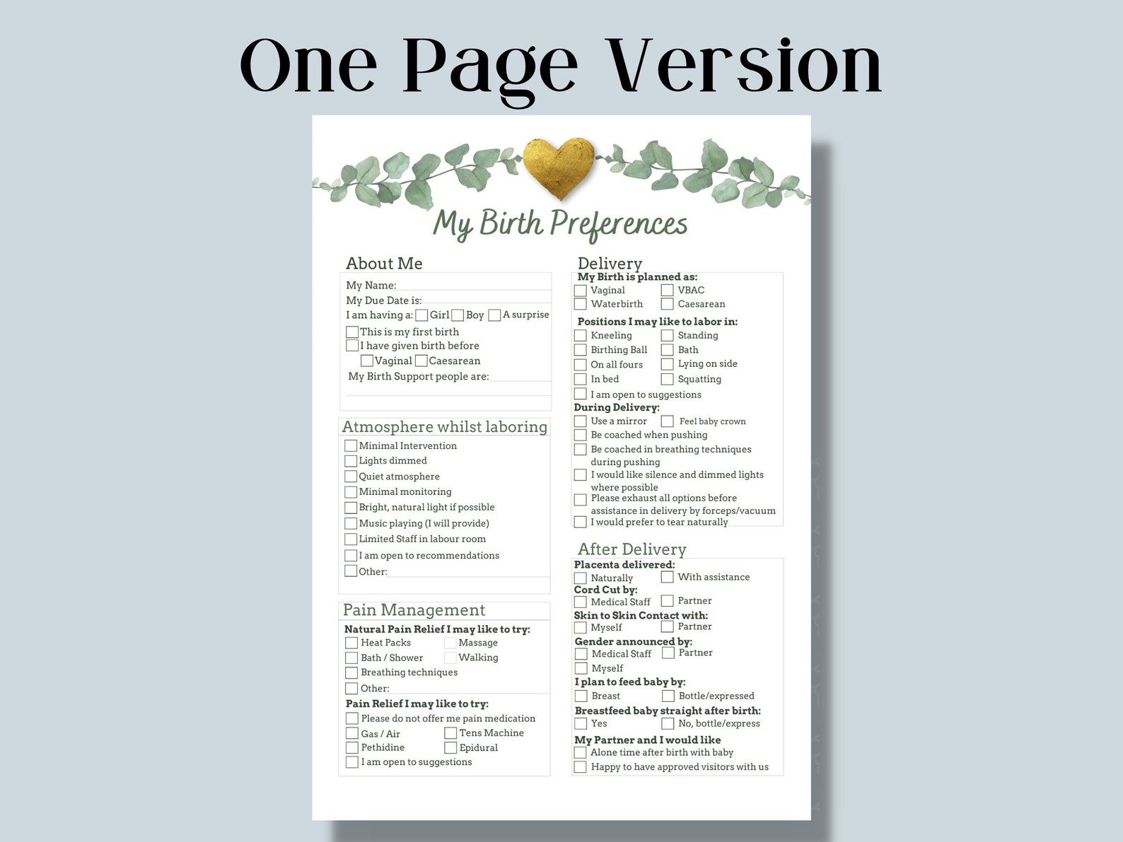 Birth Plan Template, Editable, Communicate Your Birth Preferences ...
