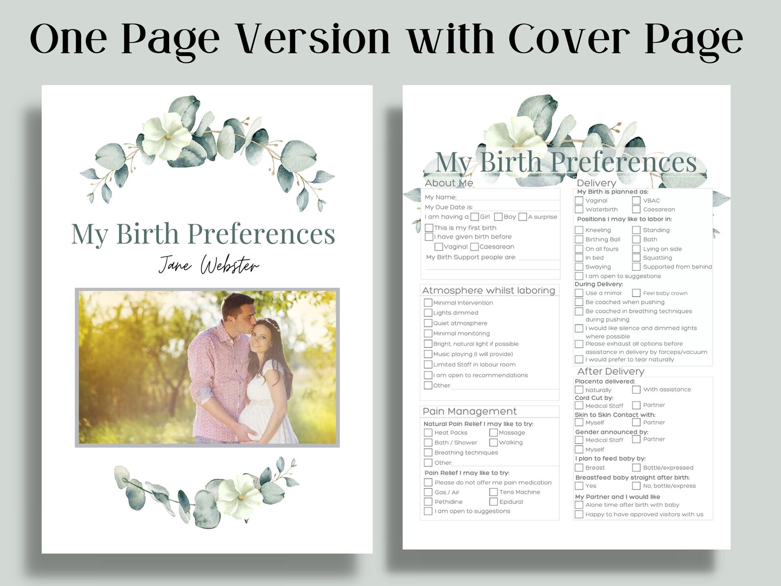 Birth Plan Editable Template, Birth Preferences Template, Birth ...
