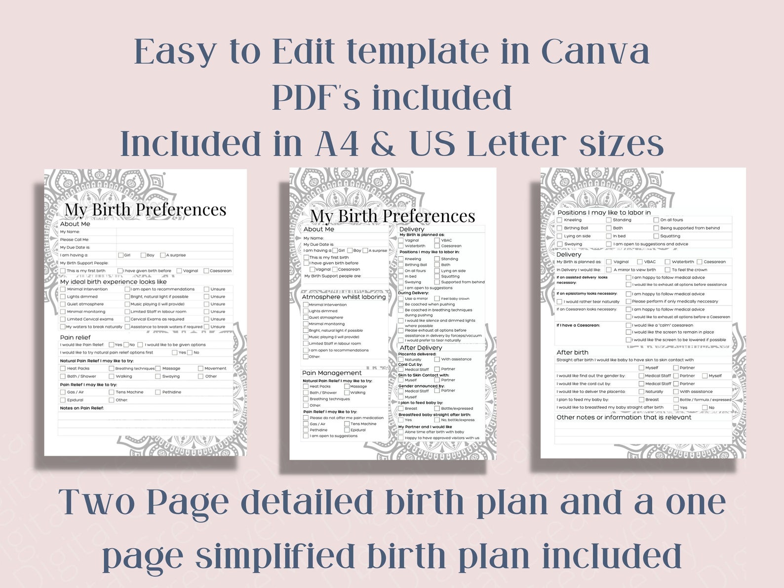 Birth Plan Editable Template, Birth Preferences Template, Birth ...