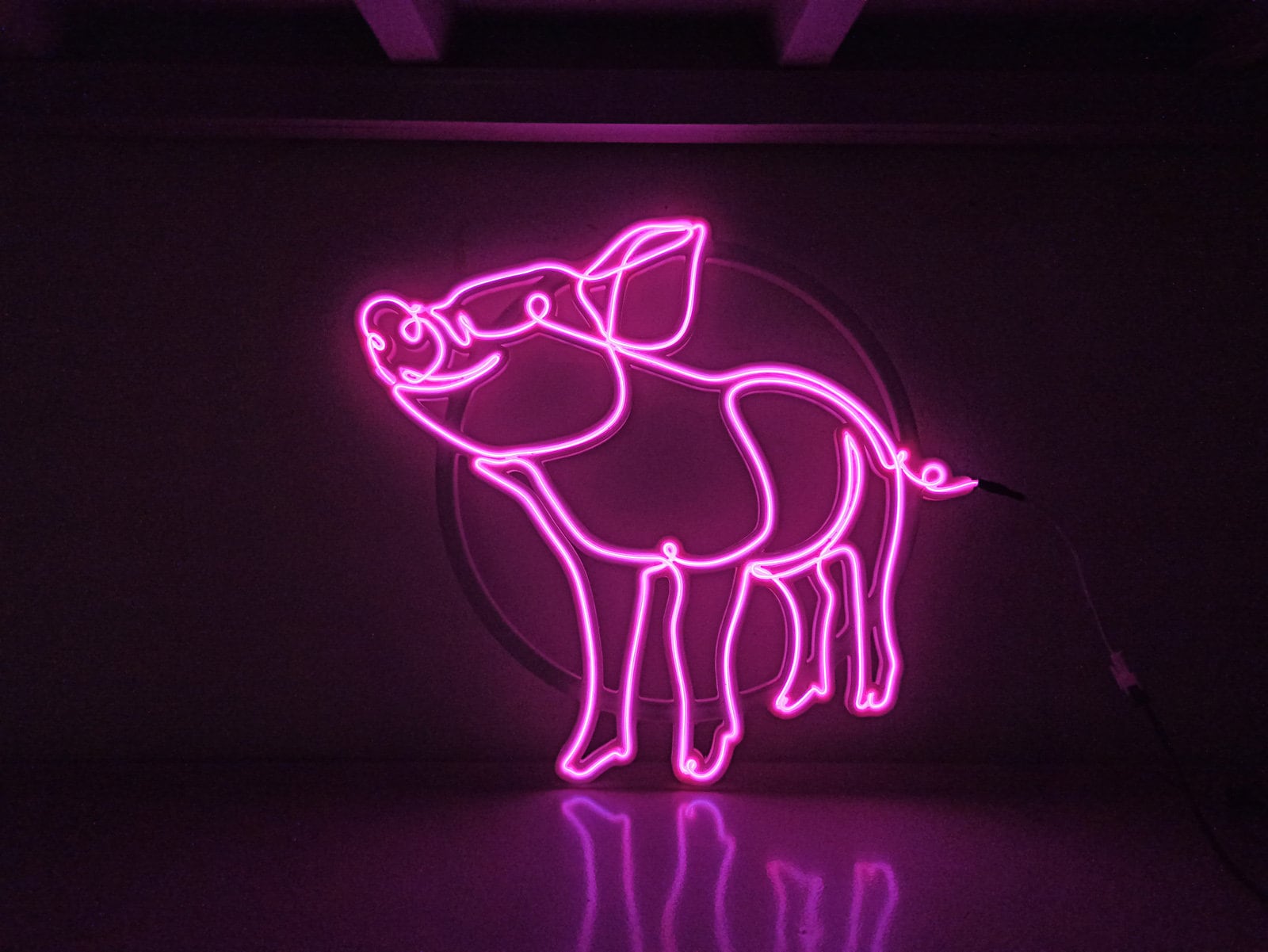 Pig Neon Sign Pig Night Light Pig Decor Animal Decor - Etsy