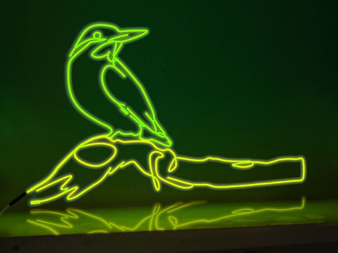 Glowing Bird Sign Bird Decor, Bird Art, Bird Neon Sign, Handmade Animal ...
