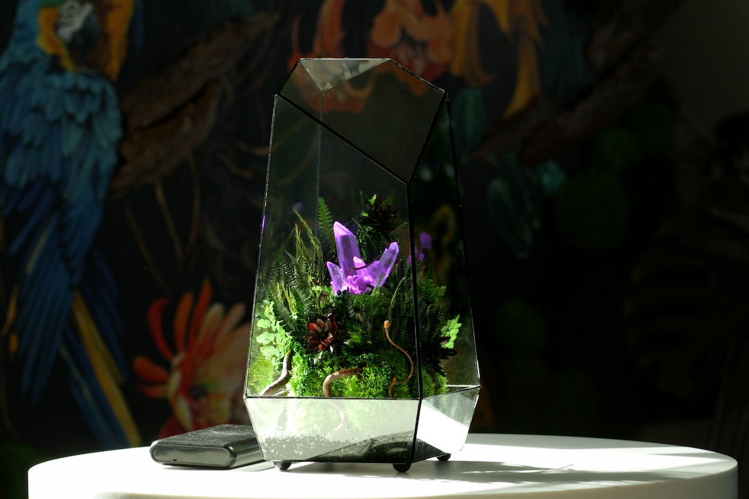 Geometric Terrariums With Crystal RGB Lamp and Preserved Plants - Etsy