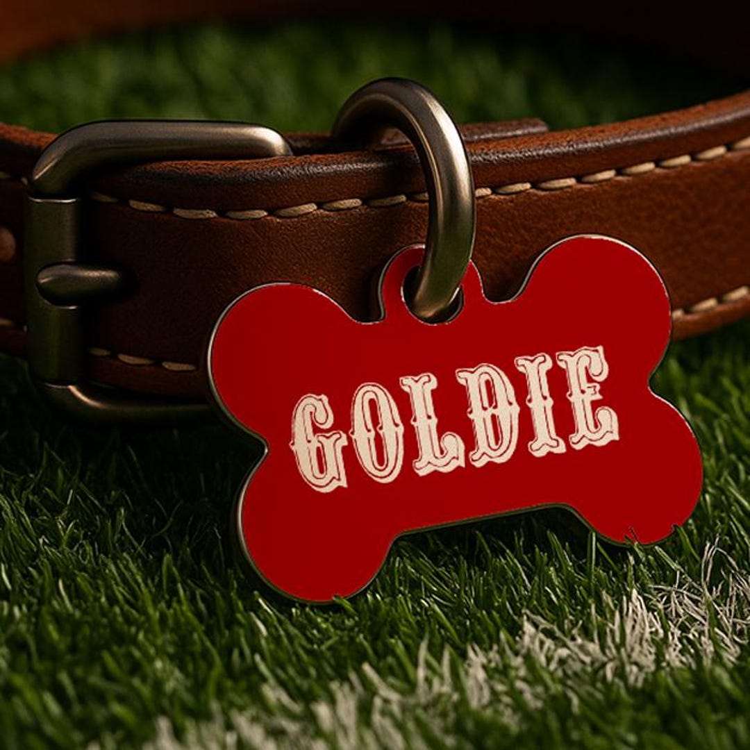 Custom Dog Collar Tag – San Francisco Gameday Style, Red & Gold ...
