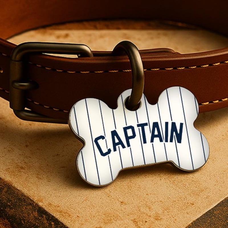 Pet Name Cat in Blocks - Etsy