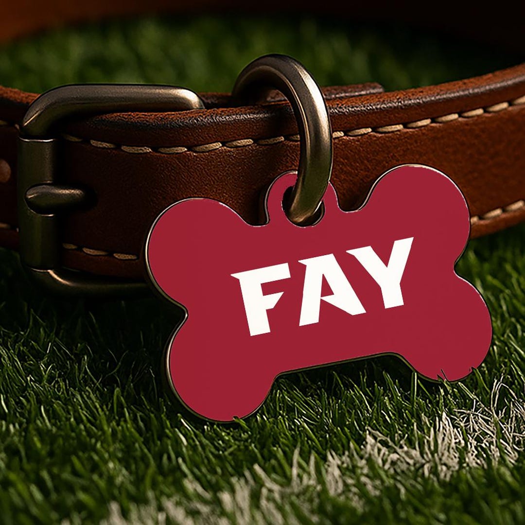 Custom Dog Tag – Fayetteville Game Day Style, Red Campus Edition Pet ...