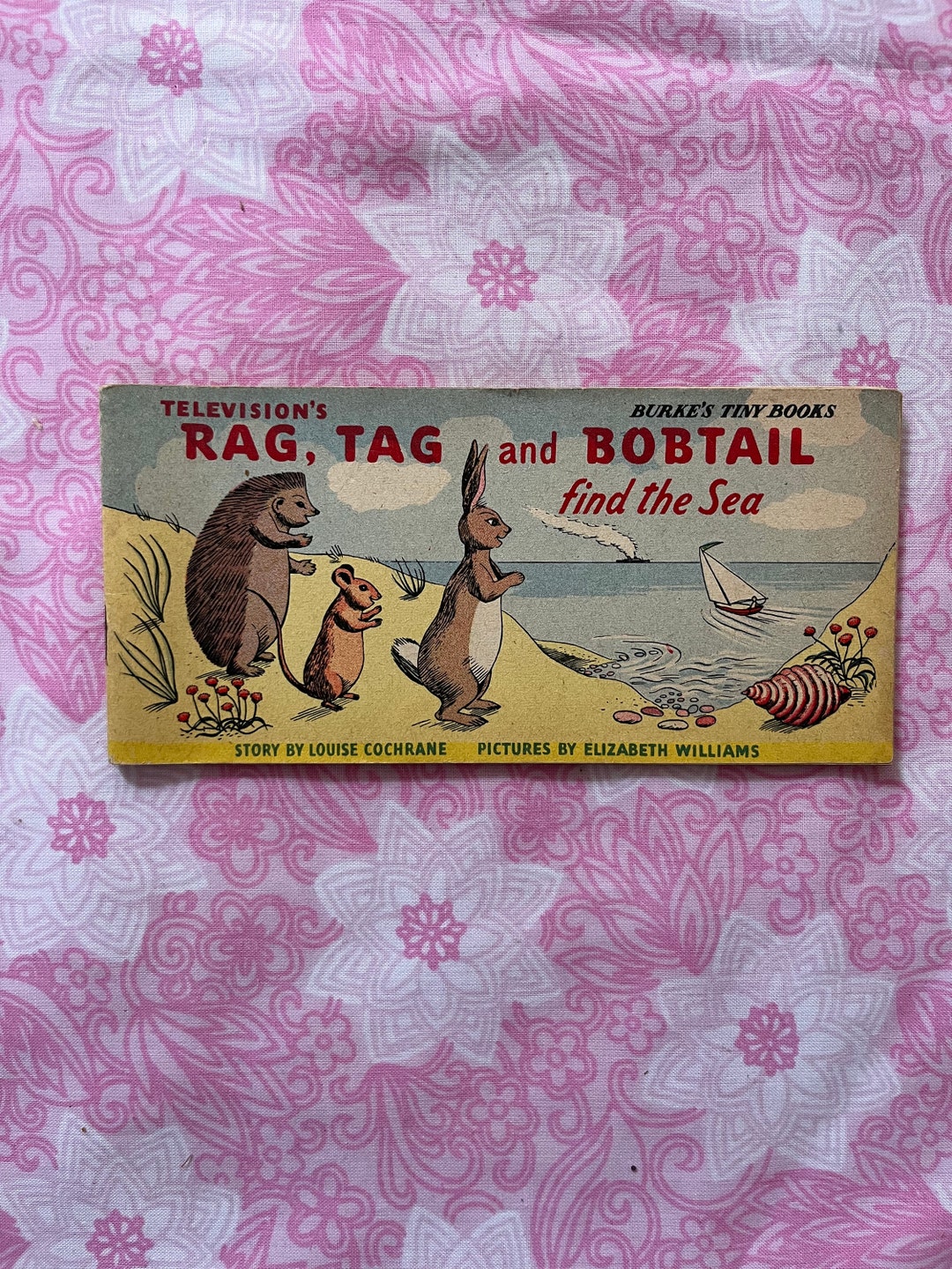1950's Rag Tag and Bobtail Find the Sea Louise Cochrane Vintage ...