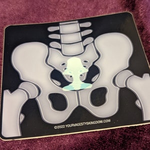 Full and Ready for Action! X-ray Butt Plug Skeleton Sticker, Sex ...