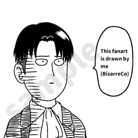 Levi Meme