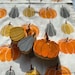 Wooden Pumpkin Block Print Set: Fabric Stamp, Made in Turkey - Etsy