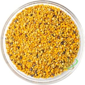 Organic Raw | Bee Pollen | Fresh | Pure Raw Natural | Herbal Products ...