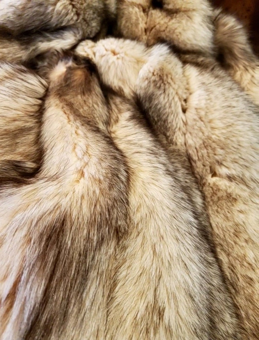 RARE COLOR Plush Champagne Fox Fur Coat Sz S/M - Etsy