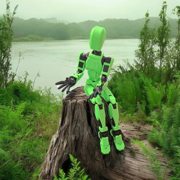 Life Size Posable Dummy - Etsy