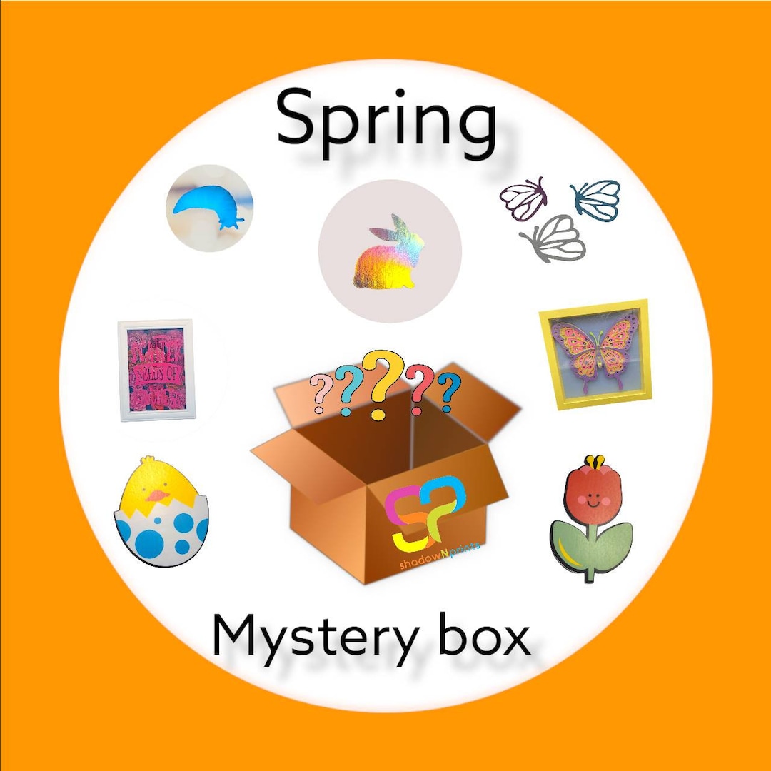 Spring Mystery Box Surprise Box for Kids Easter Basket for - Etsy