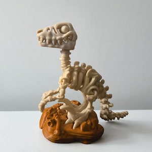 3D Printed Articulated Raptor Skeleton: Dinosaur Toy, Science Gift - Etsy