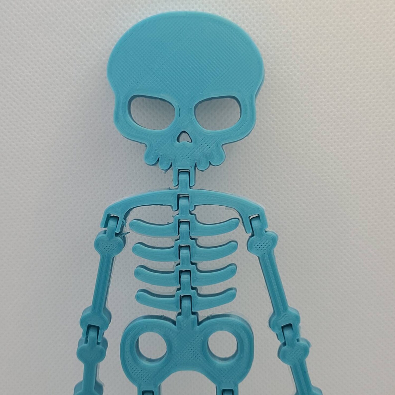 3d print Skeleton skeleton 3d print flexible skeleton 3d | Etsy