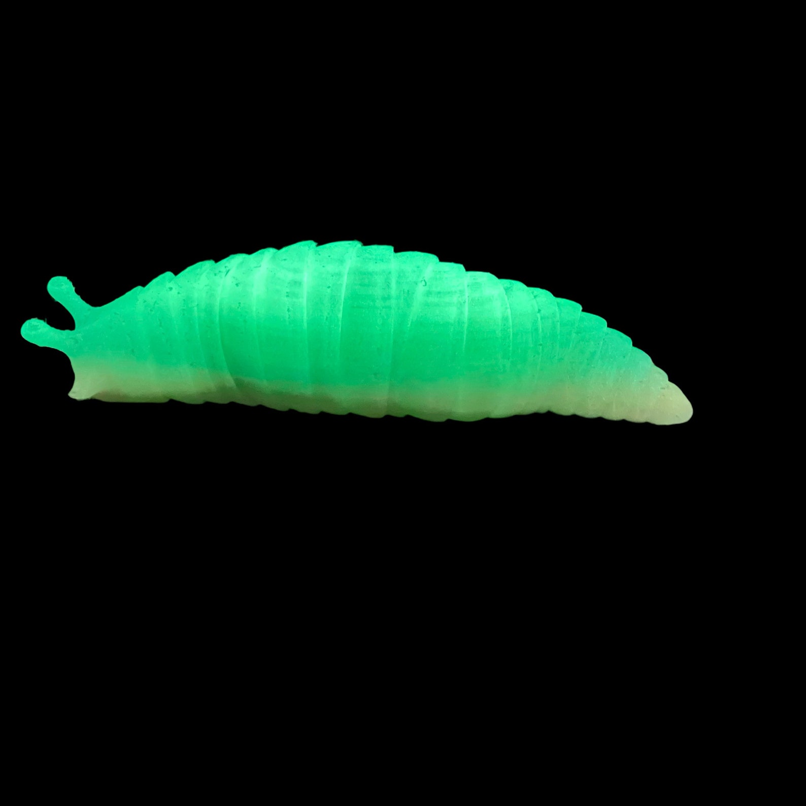 Slug Fidget Toy Party Favor for Kids Easter Basket Stuffer - Etsy