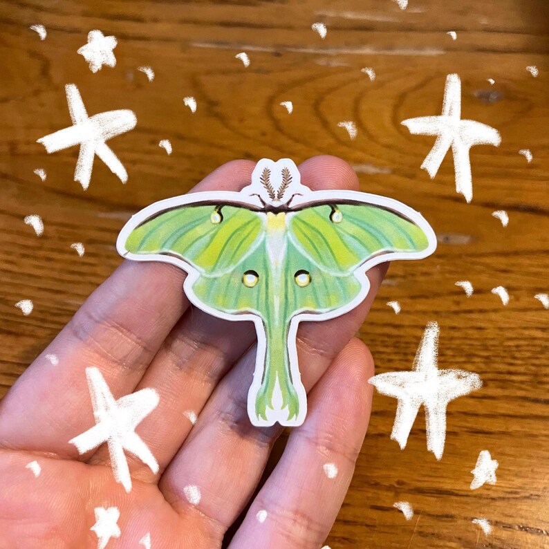 Luna Moth Vinyl Sticker Waterproof Decal 3x2.3 Cute Insect Artwork - Etsy