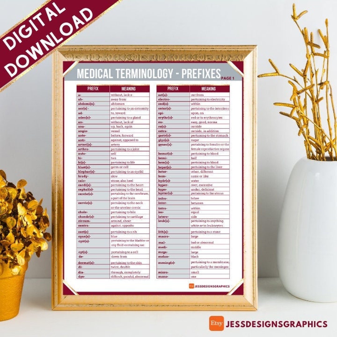 Medical Terminology Prefixes | 2 Pages | Instant Download - Etsy