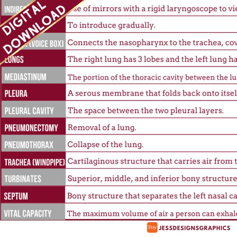 Respiratory, Hemic, & Lymphatic System Vocab Sheet | Nursing | Medical ...
