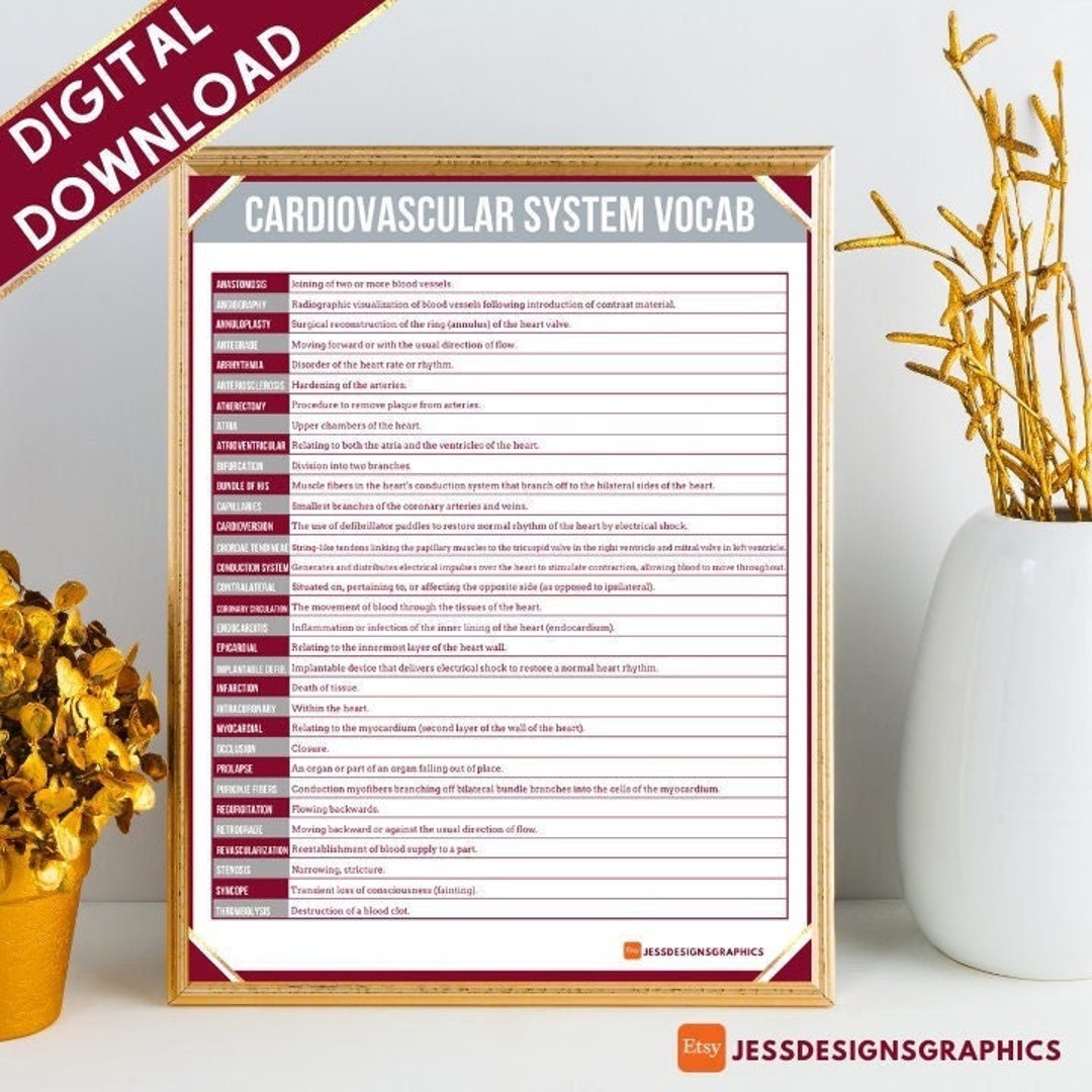 Cardiovascular System Vocab Sheet | Nursing | Medical Coding | Instant ...